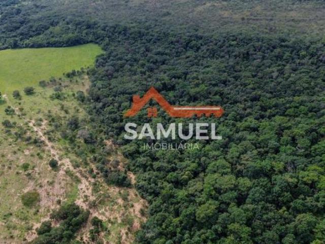 Área Rural 17,5 alqueires, ideal para investimento, escritura regularizada