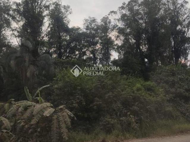 Área rural 22 mil m² de natureza preservada