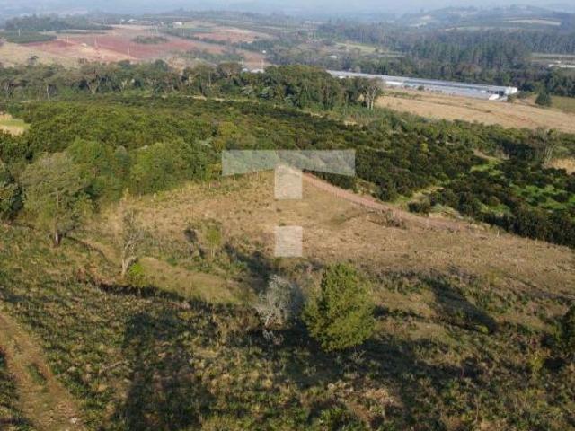 ÁREA RURAL