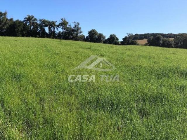 ÁREA RURAL 4.4 HA SANTO ANTONIO DO CAPINZAL