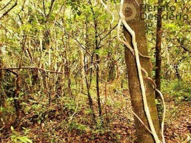 Área Residencial à venda, Condomínio Estância da Mata, Jaboticatubas