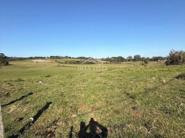 Área Residencial/Comercial em Sanga Funda, Nova Santa Rita/RS
