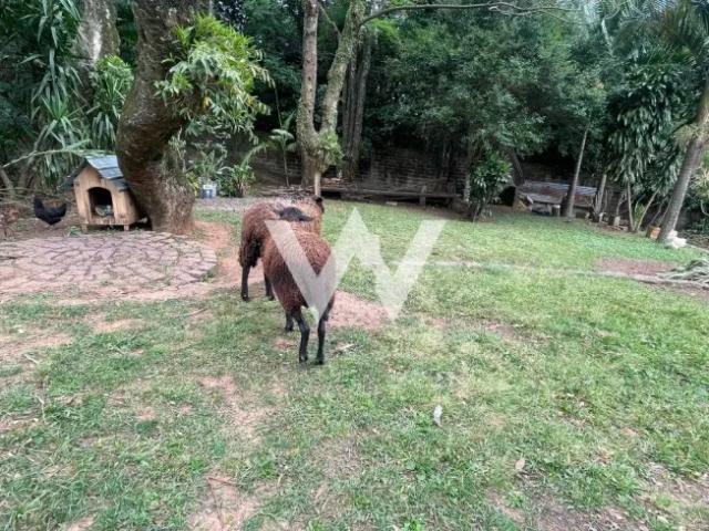 Área Rondônia Novo Hamburgo