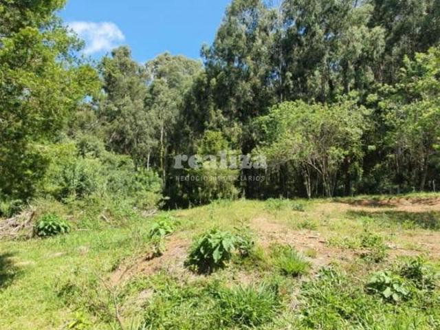 ÁREA TERRA PRÓPRIA PARA EMPREENDIMENTO EM CANELA