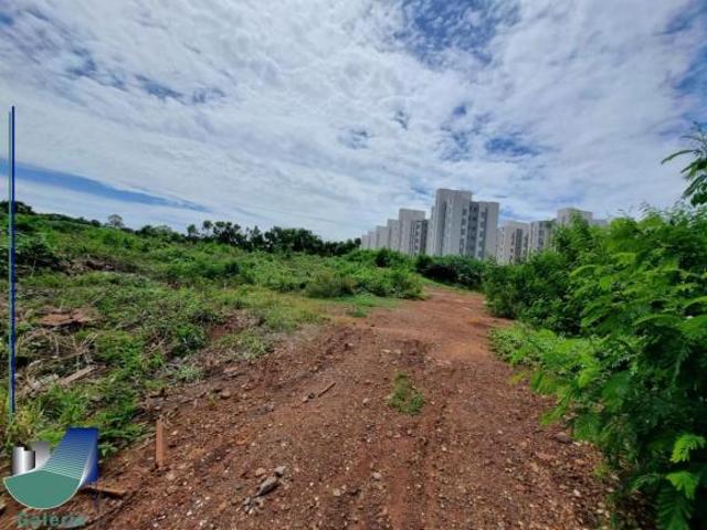 Área / Terreno 5.200 metros à venda Via Norte Pedro Correa de Carvalho Ribei