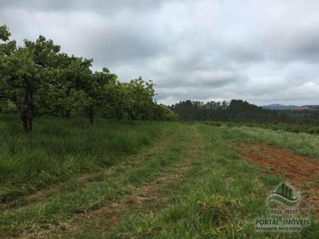 Area Terreno Mogi das Cruzes