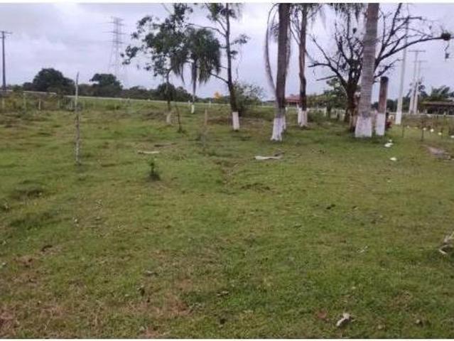 Área Urbana 484.000m² Ideal Para Loteamento Situada Em Iguape SP