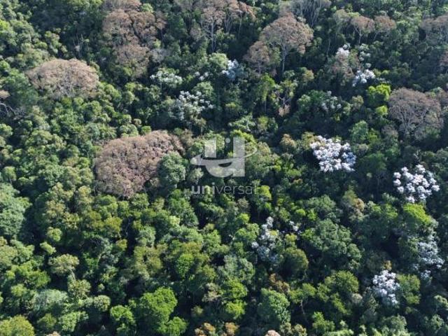 Área Urbana de 94.000 m² com várias possibilidades