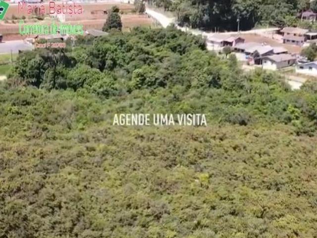 Área Urbana para Venda em São José dos Pinhais, Barro Preto, Aruja