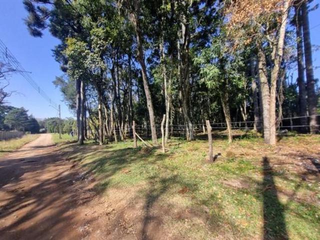 ÁREA VERDE PLANA COM FÁCIL ACESSO OPORTUNIDADE