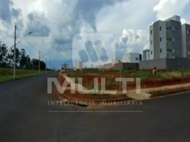 Area vida nova