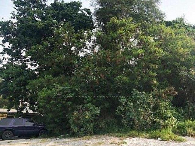 ÁREA,0 Dormitorio s bairro Amorim