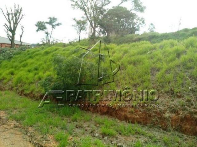ÁREA,0 Dormitorio s bairro Centro