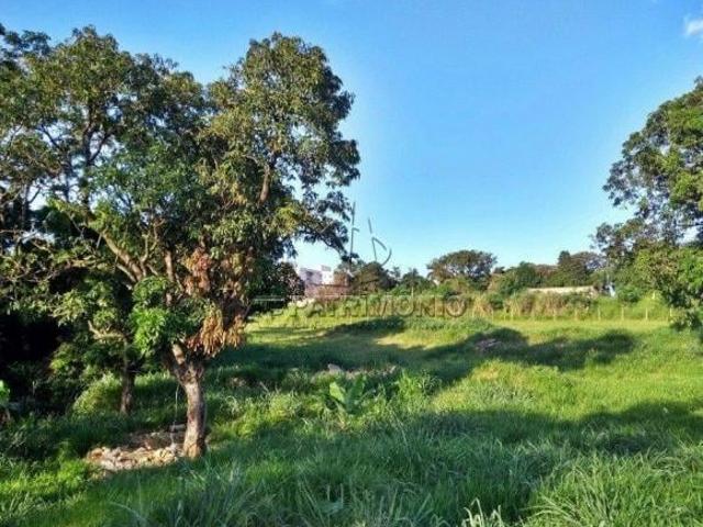 ÁREA,0 Dormitorio s bairro Celeste
