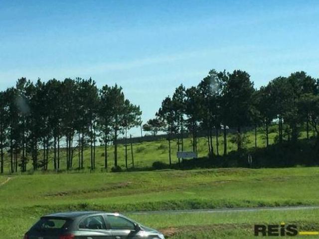 Área, 10900 m² venda por R$ 6.900.000,00 ou aluguel por R$ 9.541,67 Castelo Branco Sorocaba/SP