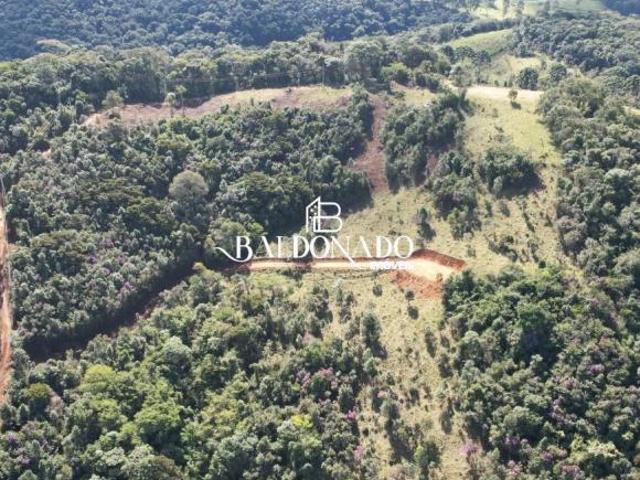 Área 21.000m em Toledo MG | Ideal para Chalés nas Montanhas