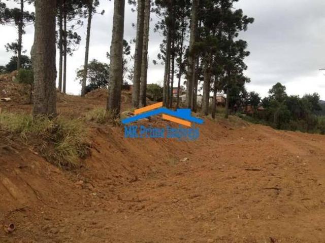 Área 2.740m² ZIS próx. ao centro de Cotia Km 32 Rap. Tavares p/ MCMV