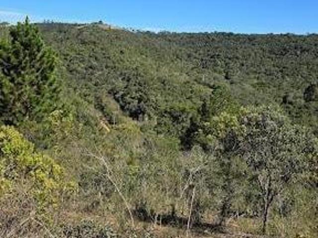 Área 30.000 m² por R$ 500.000 Frente estrada Cunha x Paraty/SP