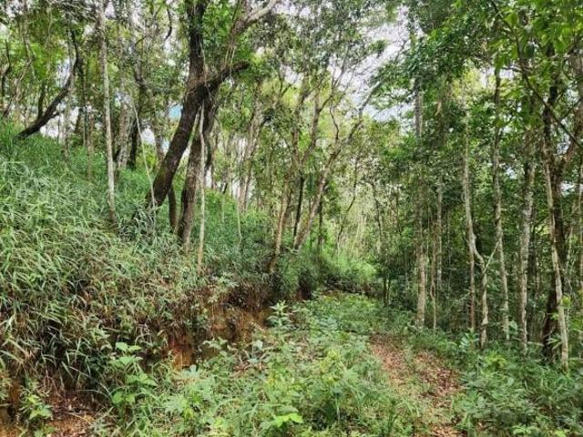 AREA 31.000,00 M² EM RIO ACIMA