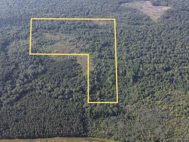 Area 4 Rd, Chatham, LA 71226