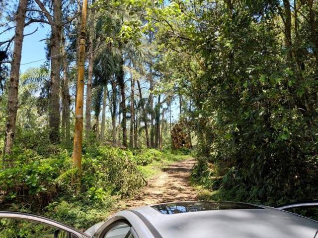 Área 66.863 M2 Rio Grande da Serra