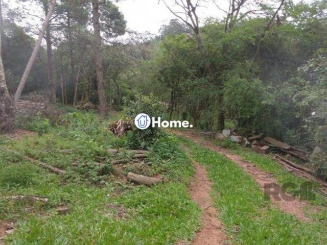 Area 6,69ha | Bairro Belem Velho