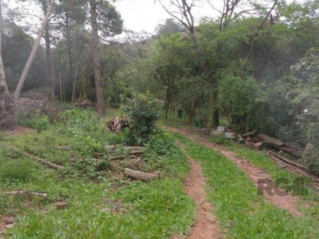 Area 6,69ha | Bairro Belem Velho