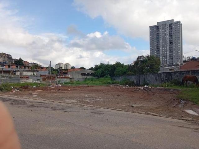 Areas A Venda No Sao Pedro