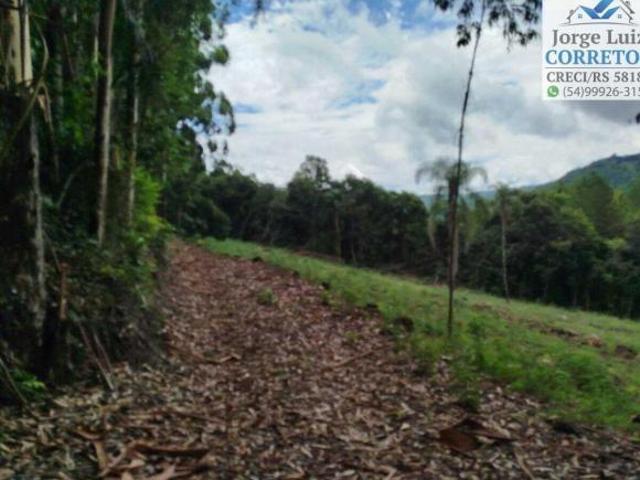 Área/sítio com arroio