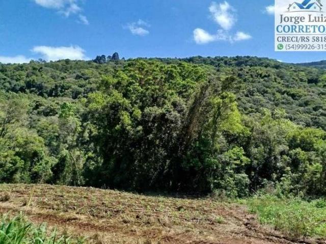 Área/sítio com arroio