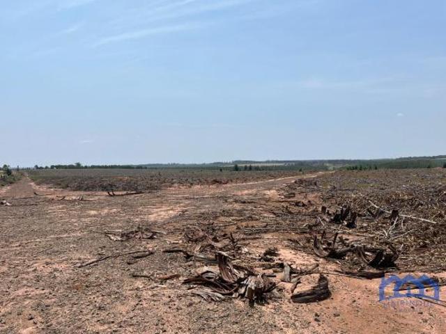 Fazenda/Sítio para pesqueiro com 70 alqueires por R$ 14.000.000. Cód. ch1866