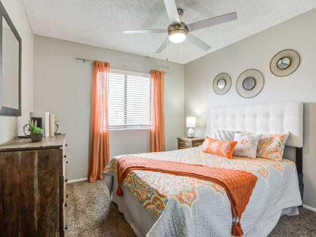 Argenta Apartments 1 Bedroom Apartment for Rent at 4104 E Broadway Rd, Mesa, AZ 85206