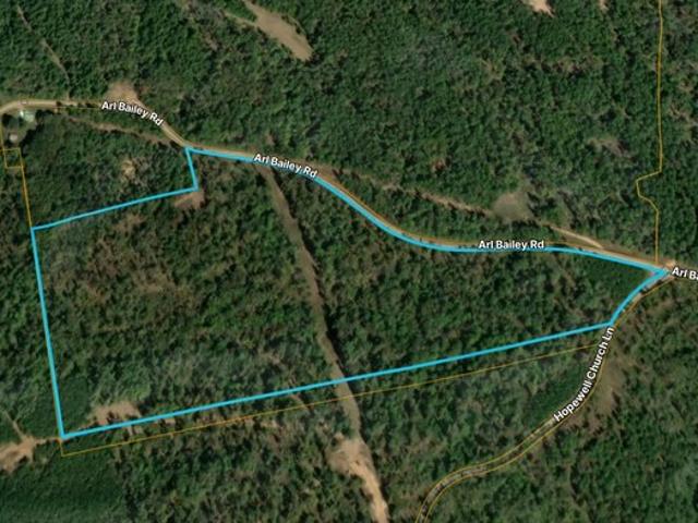 Arl Bailey Rd, Finger, TN 38334