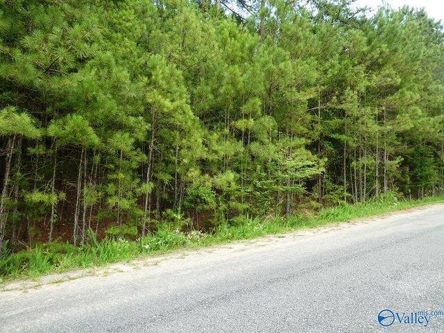 Arley Landing Dr Lot 20, Arley, AL 35541