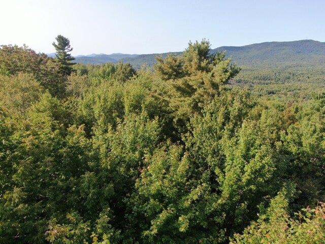 Arlines Way Lot,woodstock, Plot For Sale