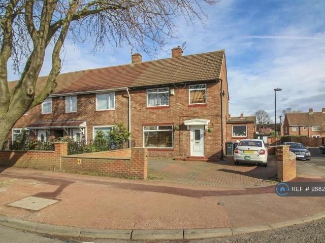 Arlington Avenue, Newcastle Upon. 4 bed semi detached house to rent £1,325 pcm £306 pw