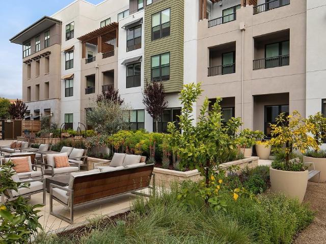 ARLO Mountain View 1 Bedroom Apartment for Rent at 1030 Castro St, Mountain View, CA 94040 Cuesta Park