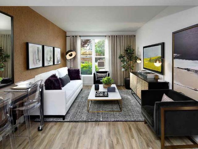 ARLO Mountain View 1 Bedroom Apartment for Rent at 1030 Castro St, Mountain View, CA 94040 Cuesta Park
