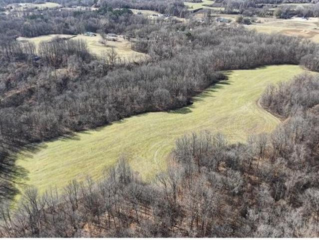 Arp Central Rd, Ripley, TN 38063