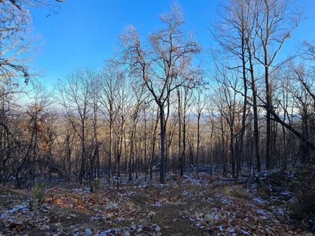 Arran Ln, Hedgesville, WV 25427