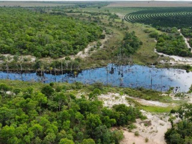> ARRENDAMENTO DE FAZENDA 3.800 HECT. REGIÃO DE MAMBAÍ GO