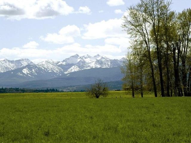 Arrow Hill Ranch Rd Lot 38, Hamilton, MT 59840