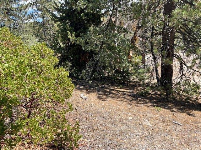 Arrowbear, Running Springs, CA 92382