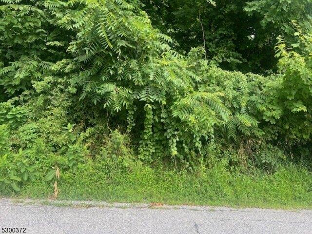 Arrowhead Dr, Wantage Township, Plot For Sale