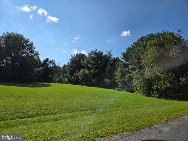 Arrowhead Drive