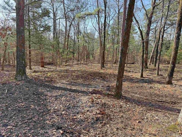 Arrowhead Ln, Mountain View, AR 72560