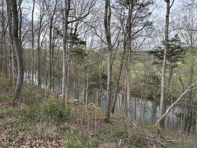 Arrowhead S, McMinnville, TN 37110