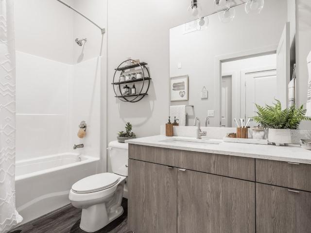 Arsenal 201 Studio Apartment for Rent at 147 39th St, Pittsburgh, PA 15201 Lower Lawrenceville