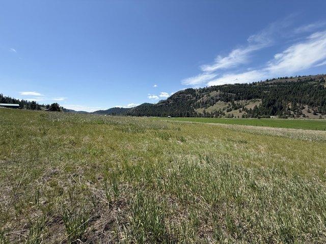 Art Creek Rd Lot D, Malo, WA 99150