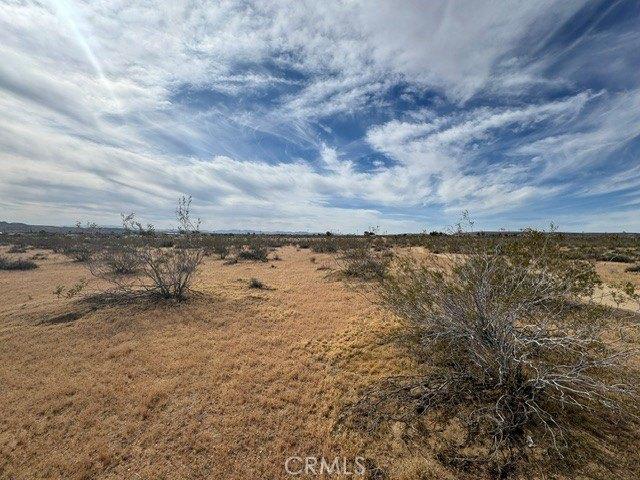 Artesia, Landers, CA 92285